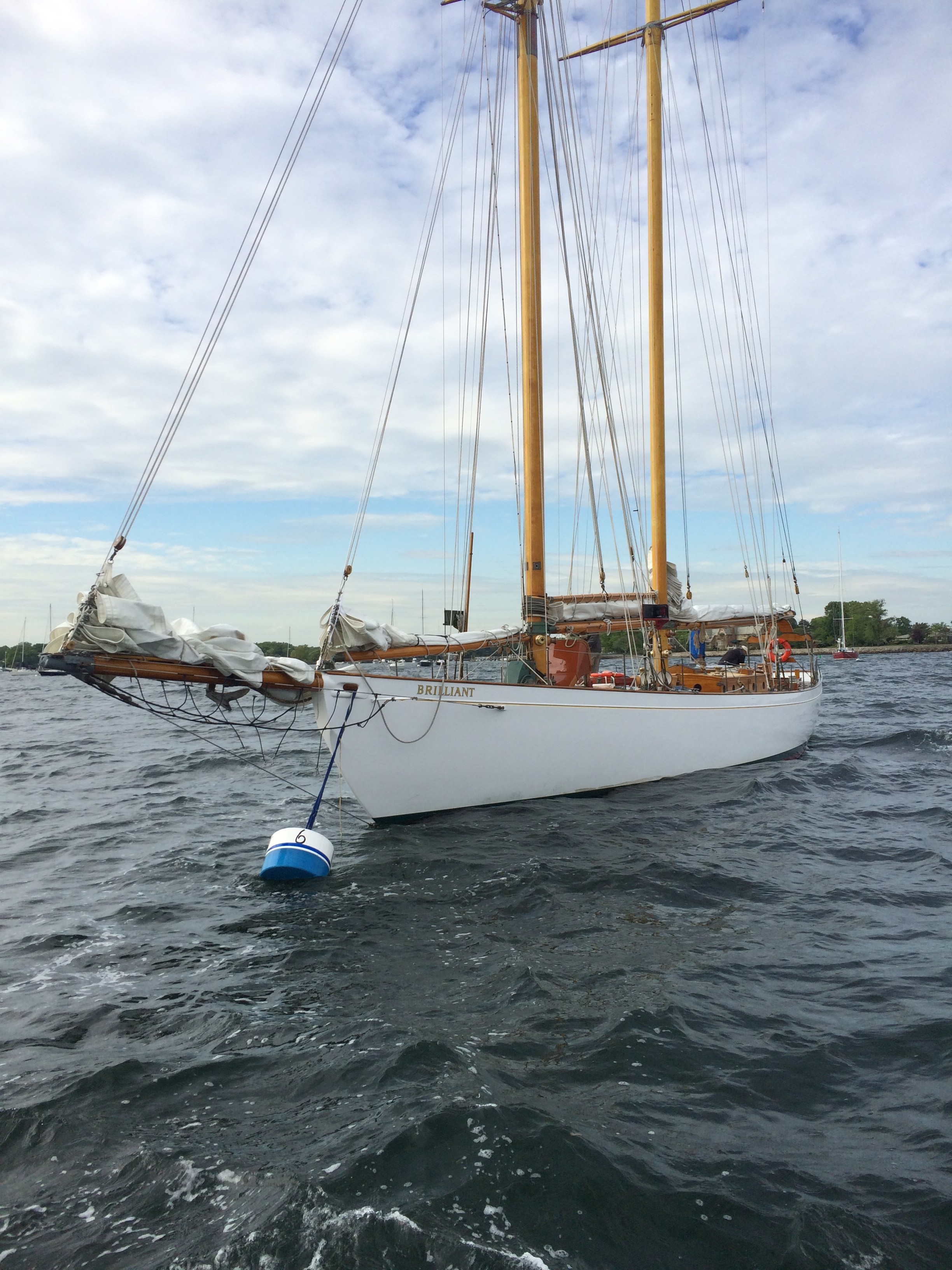Schooner Brilliant - Briggs Cunningham